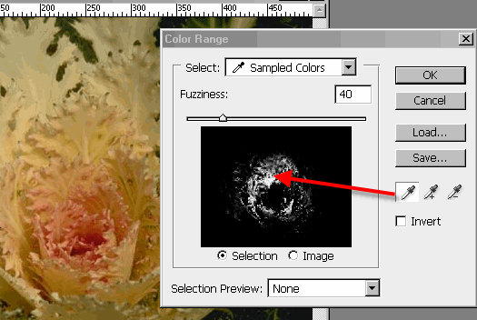 Color Range Selections With Photoshop CS3